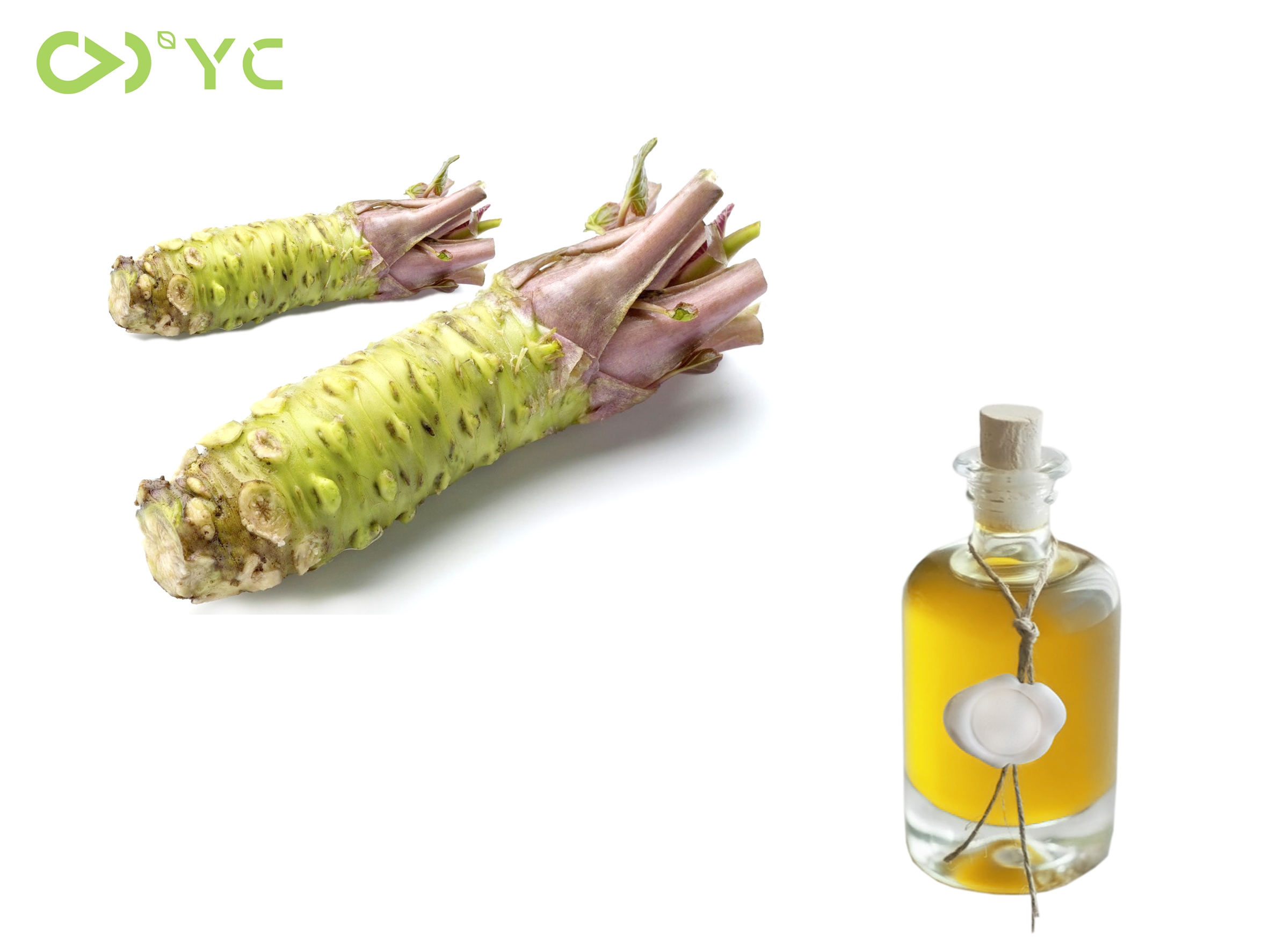 Wasabi oil - YC BIOTECH
